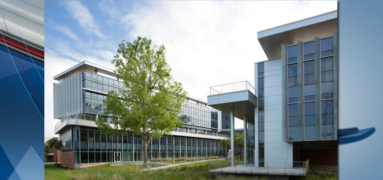 UF Health receives grant money to go toward clinical research ...