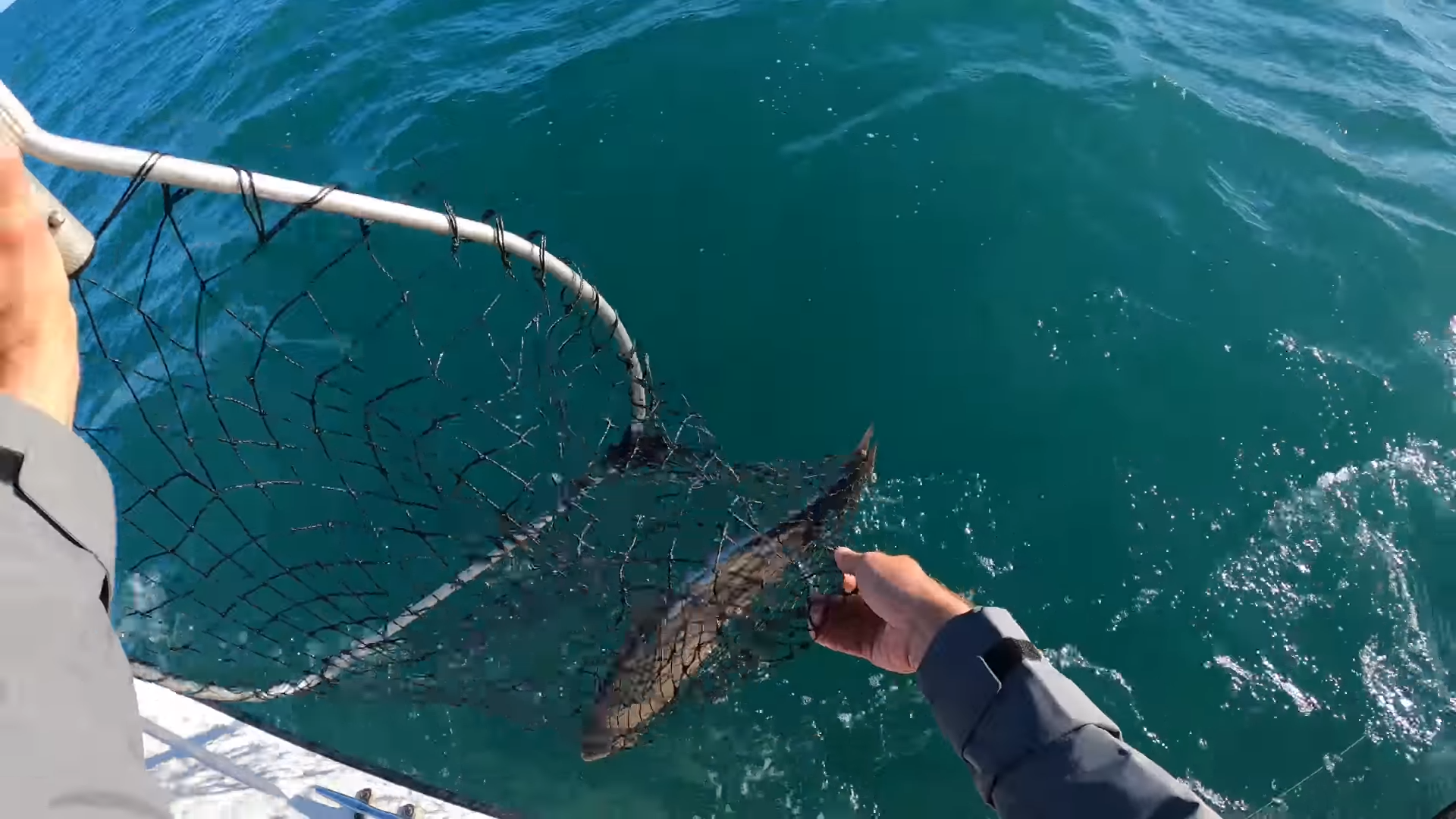 This fishing trip was frustrating