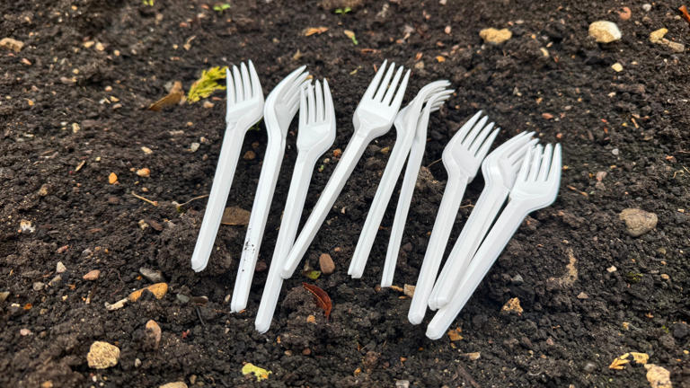 I tried 'lawn forking', the garden hack that makes a lot more sense ...