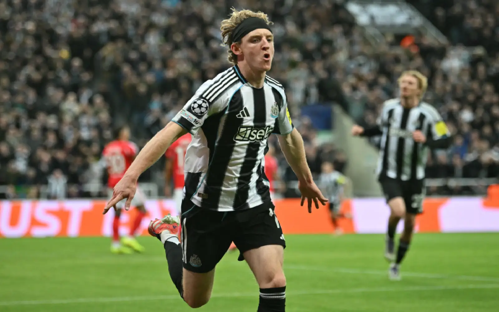 Newcastle call for clarification on Gordon penalty denial in Chelsea draw
