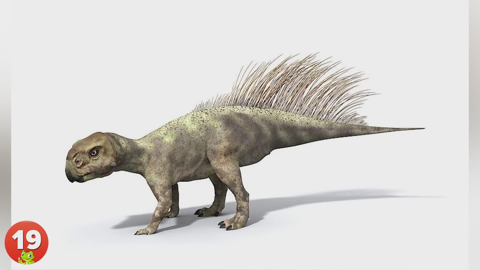 20 bizarre dinosaurs that would have actually made great pets