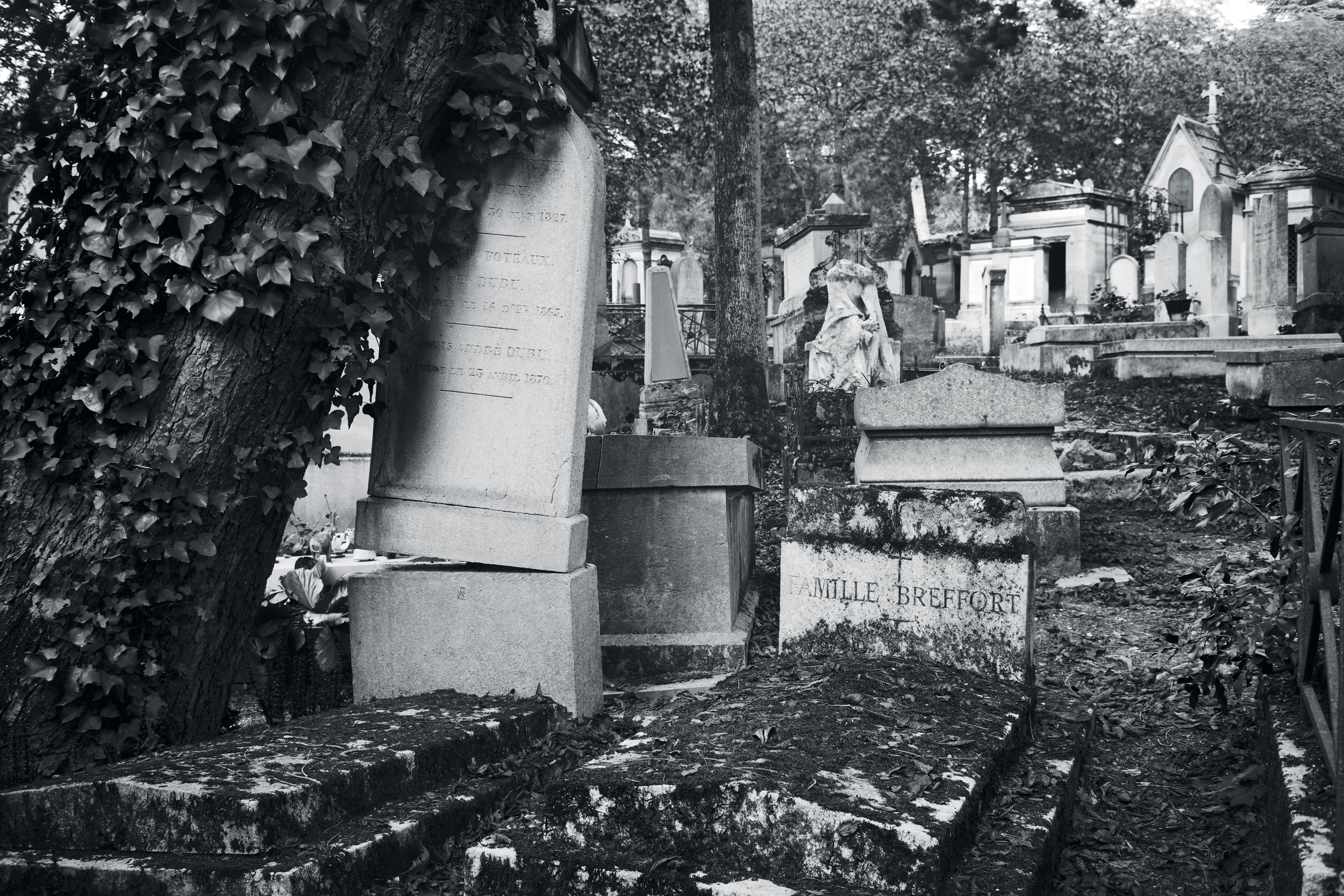 Why Paris Designed Its Peculiarly Popular Grand Graveyards to Evoke a ...