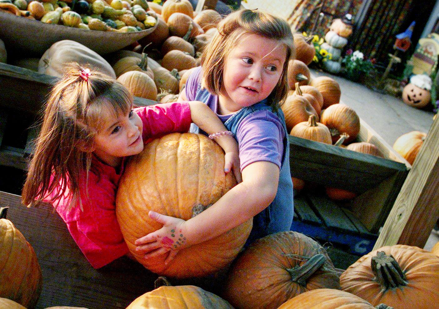 Pumpkin patches, corn mazes, family farms: Here's where to celebrate ...