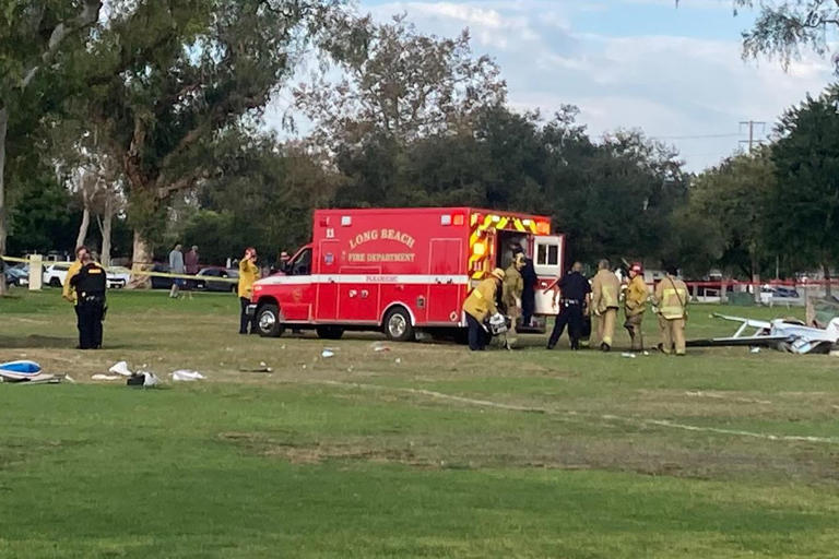 Plane Making an Emergency Landing on Soccer Field in Busy Calif. Park ...