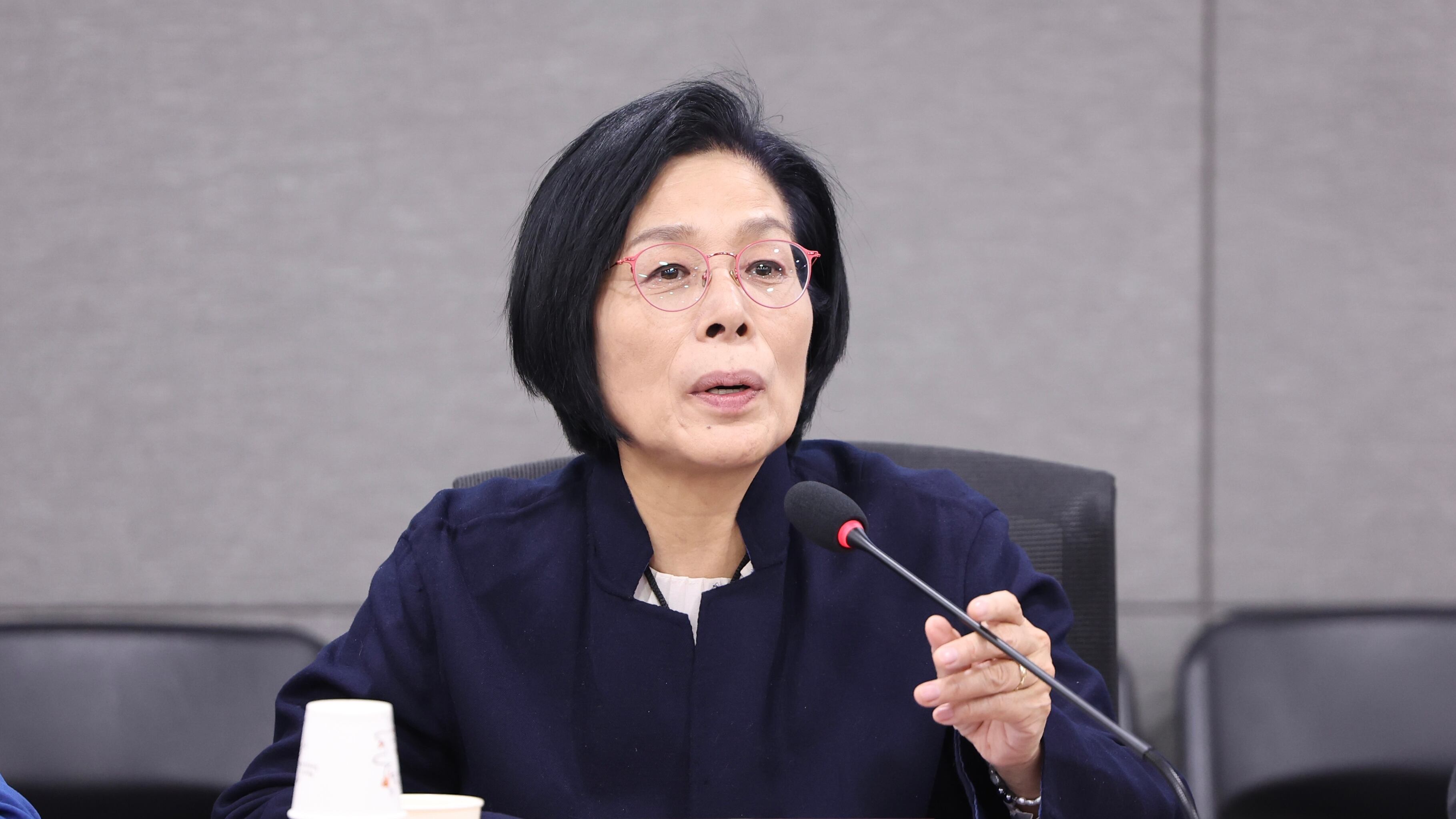 Democratic Party Chairperson Condemned for Undermining Press Freedom