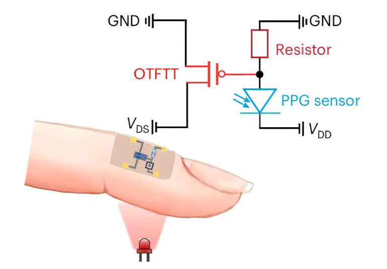 New organic thin-film tunnel transistors for wearable and other small ...