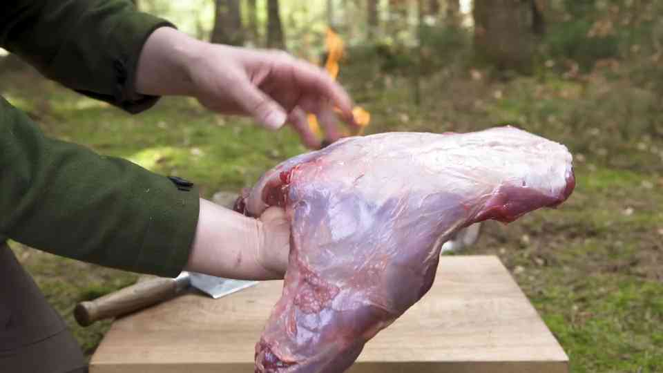 Open-Fire Beaver Cook: Rustic Flavors in the Wilderness