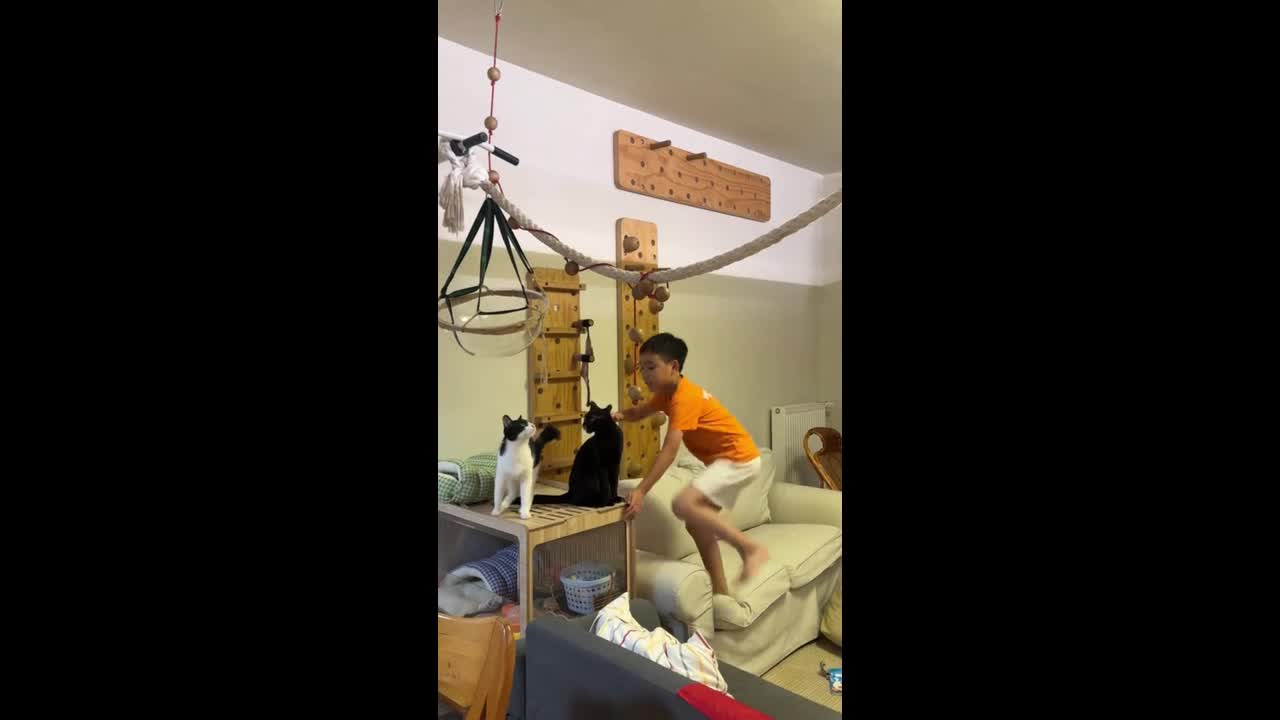 Black cat impressively climbs rope in Hubei, China