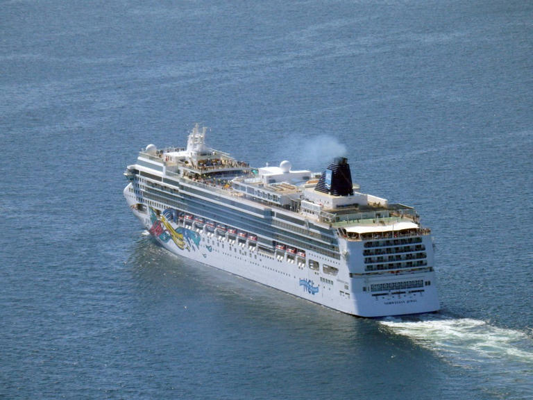Norwegian Jewel cruise passenger goes overboard on Miami-bound trip