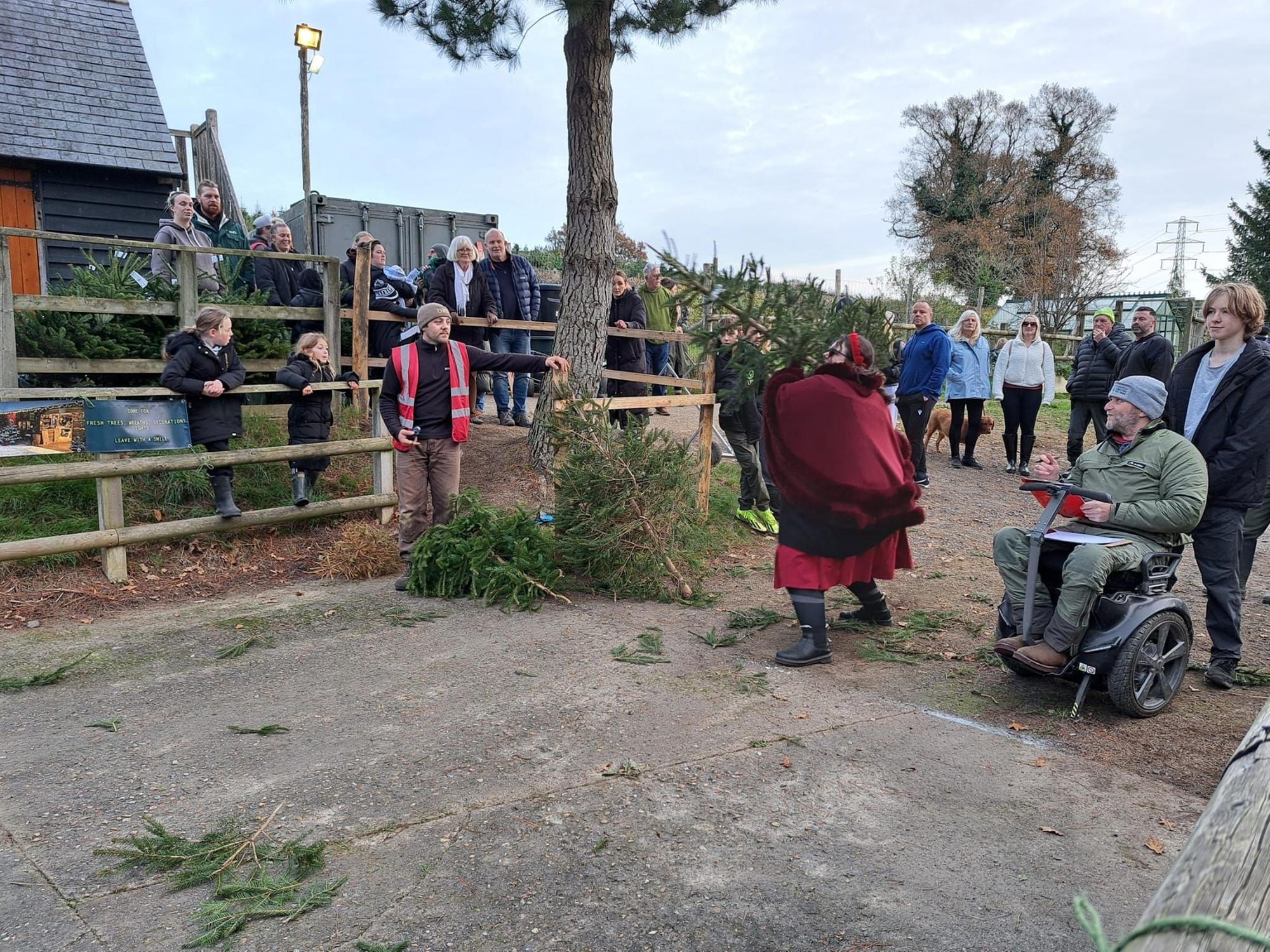 Sussex gears up for the fifth annual Christmas Tree Throwing Championship