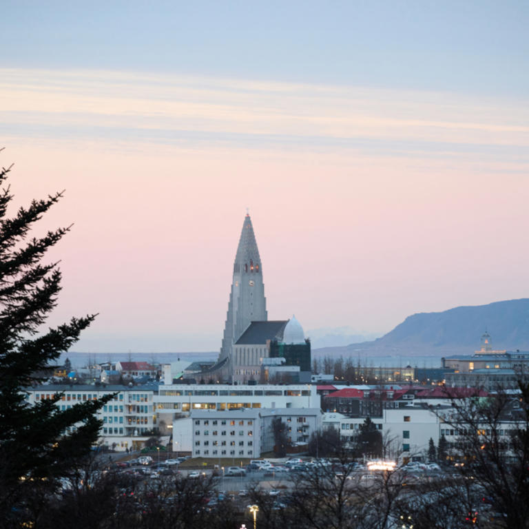 Erstmals Gelsen in Island entdeckt