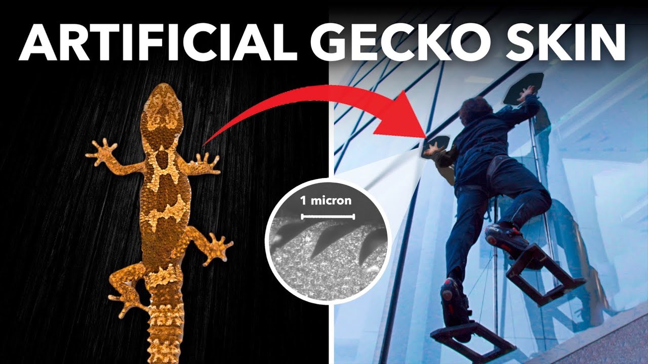 The Gecko Inspired Material That Grips Without Being Sticky