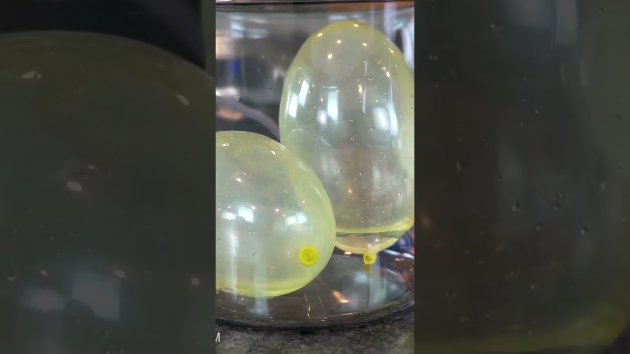 Do water balloons explode in a vacuum chamber experiment?