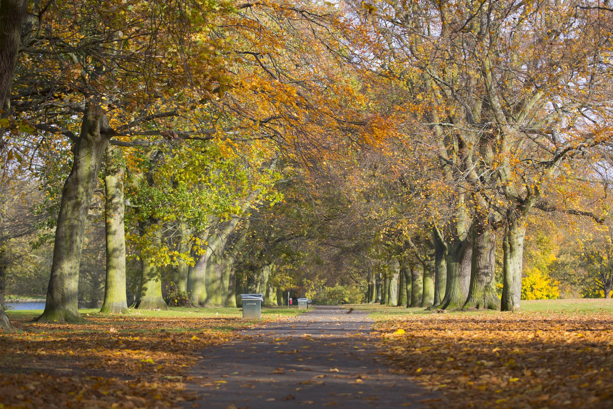 18 beautiful walks to enjoy across Northamptonshire this Autumn