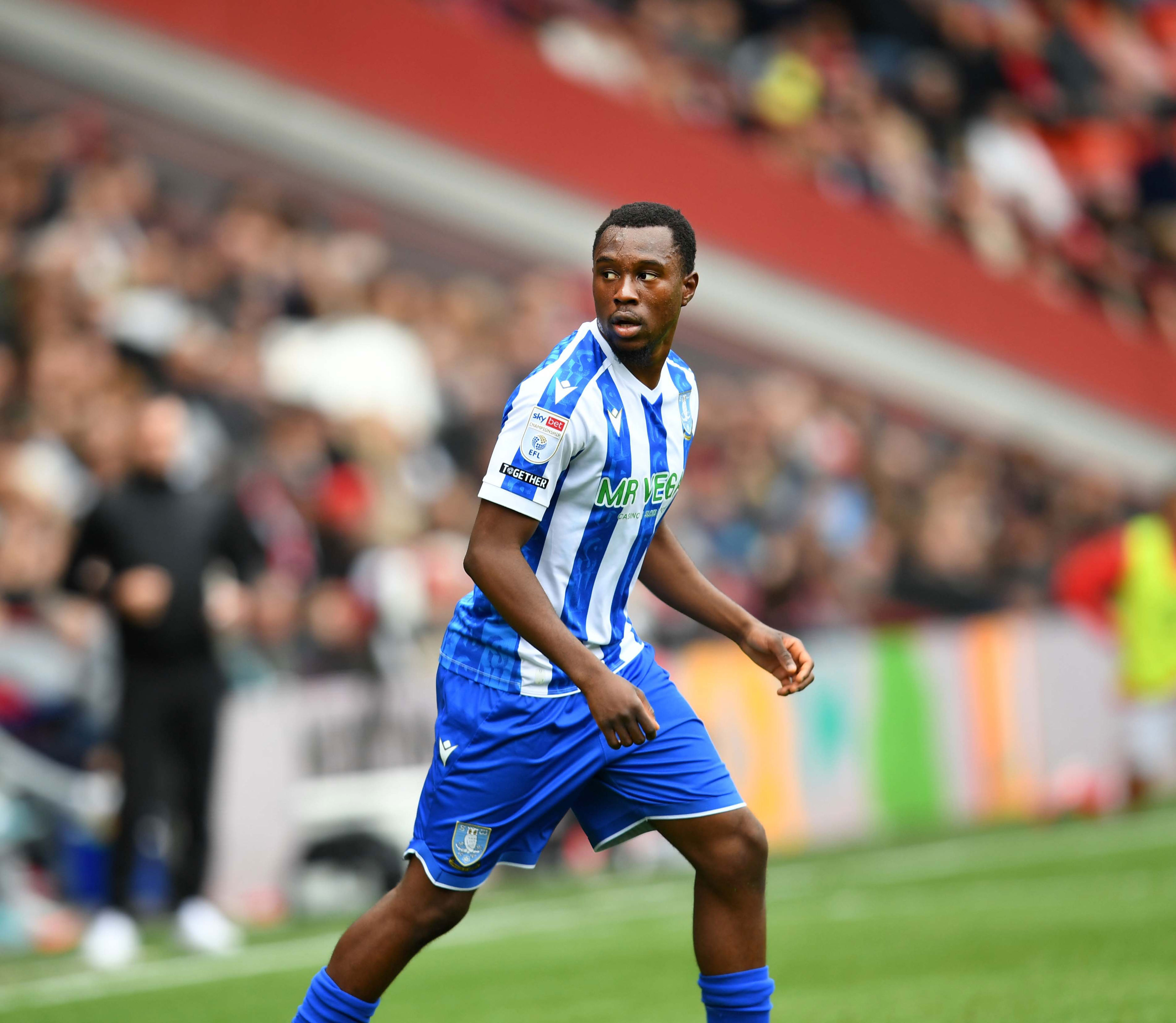 Sean Fusire surprise was the first result of fresh Sheffield Wednesday ...