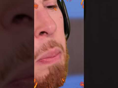 Animals caught in funny and unexpected situations