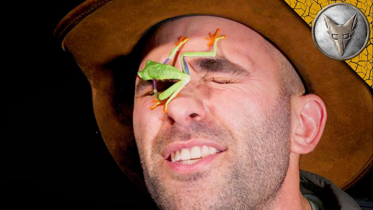 When Frogs Fight Back: A Funny and Unexpected Encounter