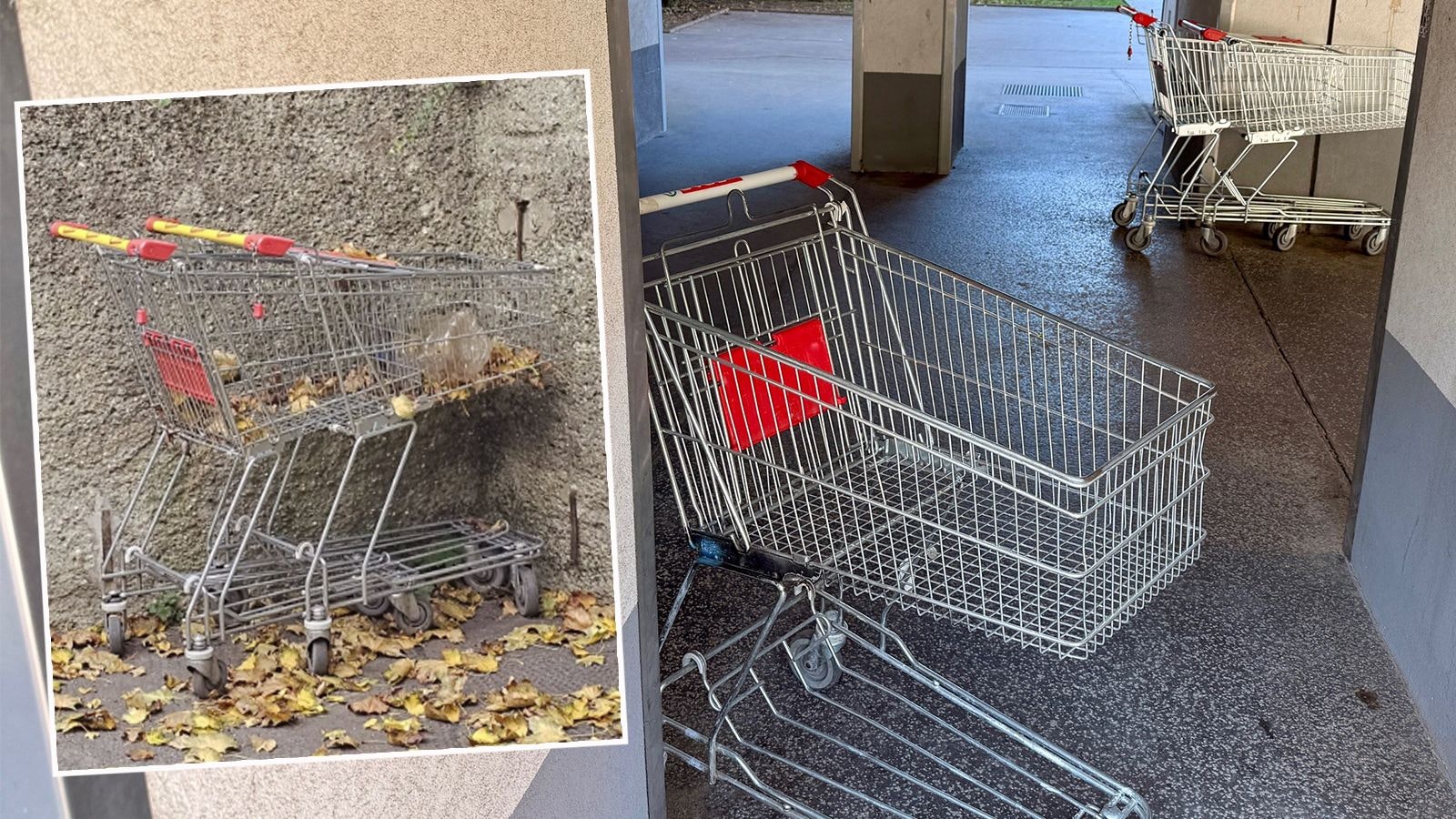 "Kunden lassen Einkaufs-Wagerl vor Haustür stehen"