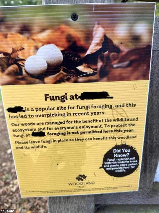 Middle class foragers are desecrating the countryside by copying ...