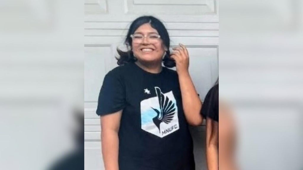 Isle police searching for teen who may be in the Twin Cities area