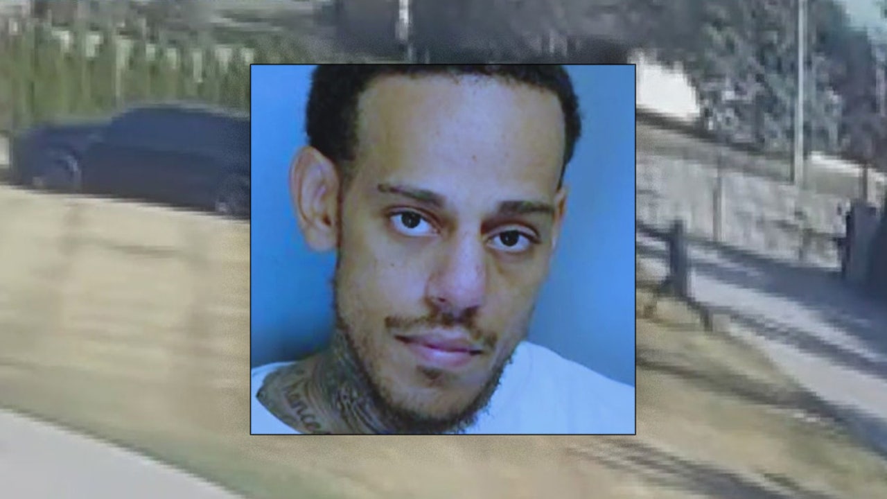 Bird poop helps investigators find man accused of shooting Macomb ...