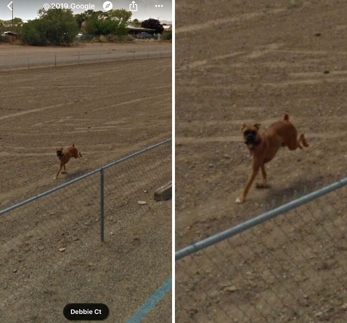 43 Times Google Earth And Maps Captured Something Totally Unexpected