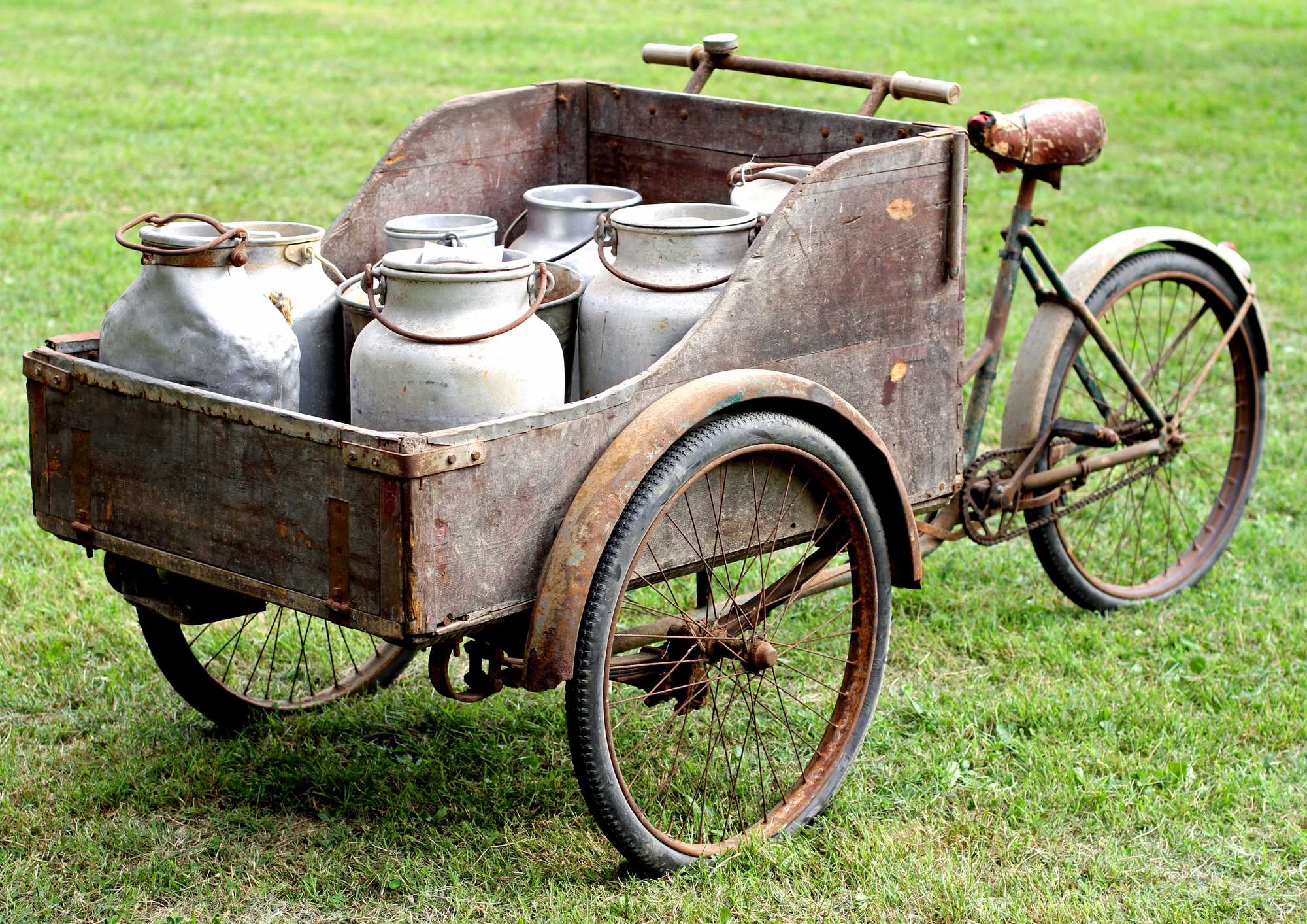 Unusual Jobs That Disappeared With Time