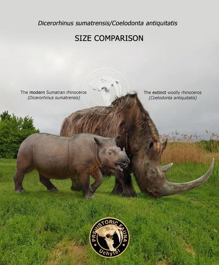 15 Modern animals and their prehistoric ancestors