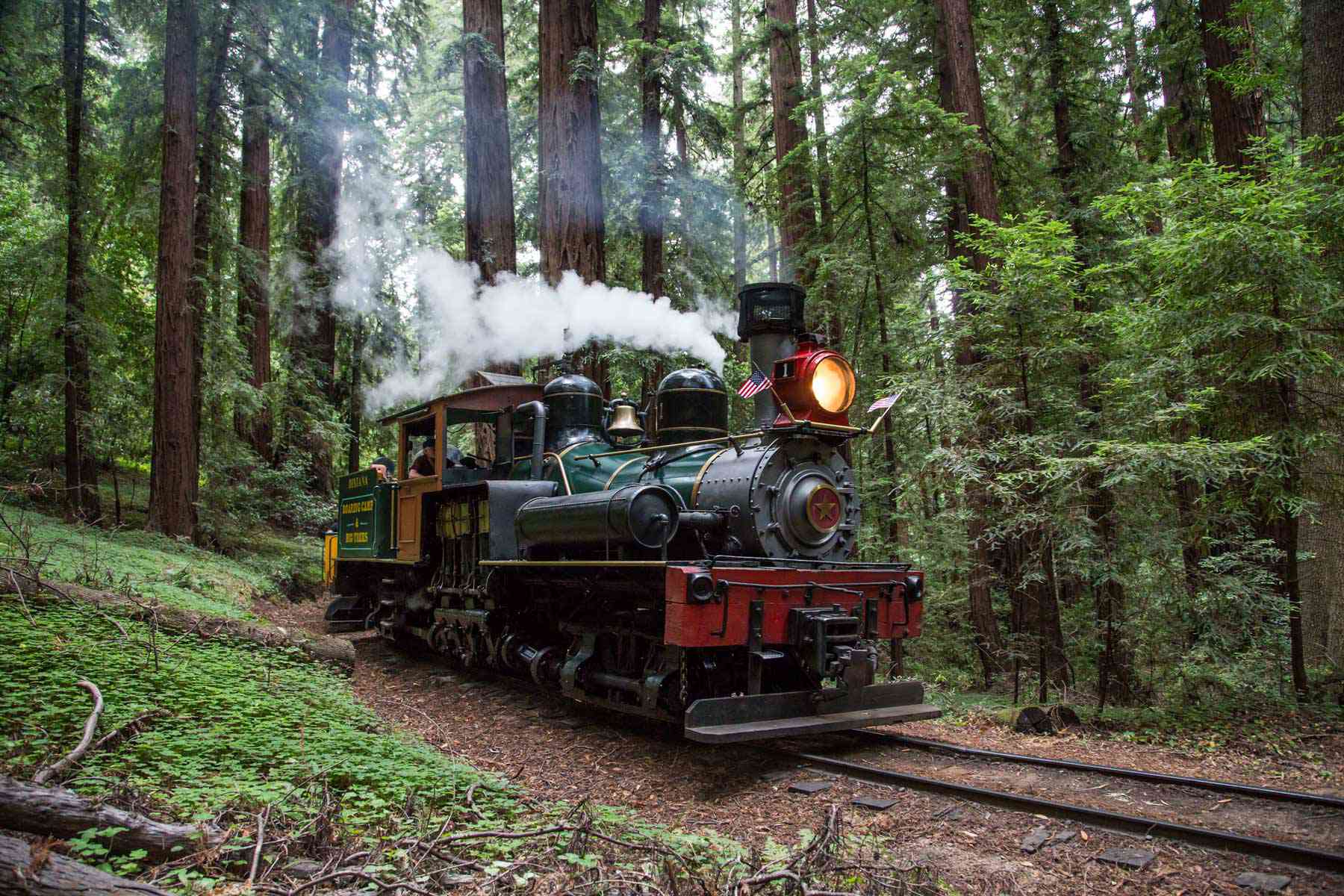 This Scenic Train Ride Winds Through California’s Majestic Redwoods and ...