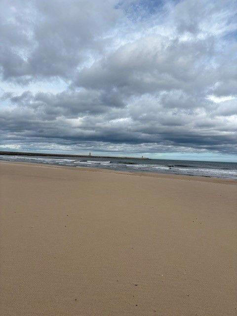 Primrose Lodge patients make waves with beach clean