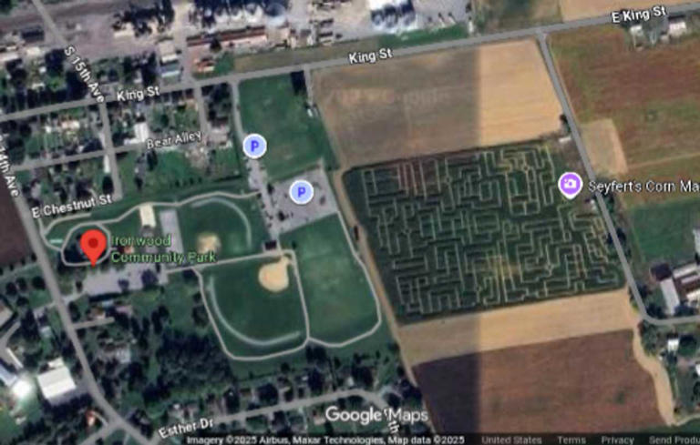 Bartley Sando Charged After Naked Ironwood Park Incident