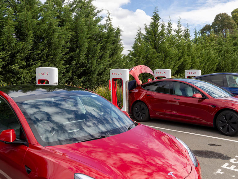 Tesla recalls almost 13,000 Model Ys and Model 3s over risk of sudden ...