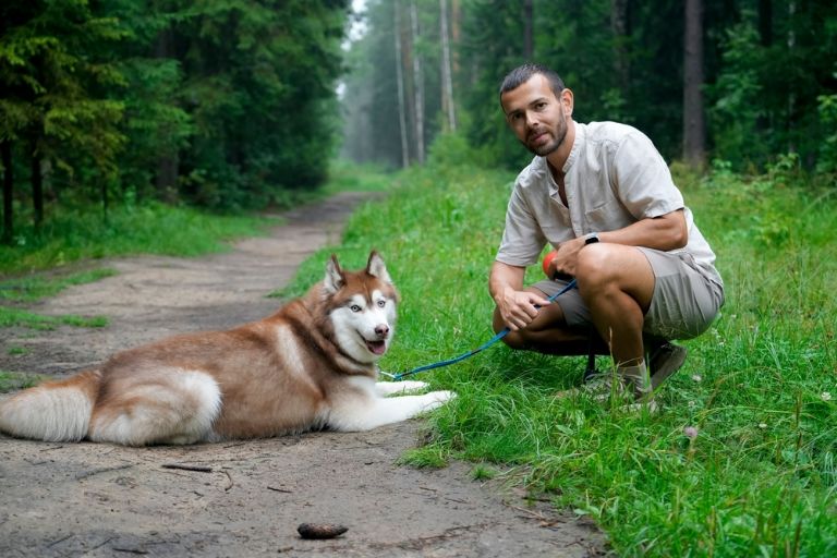 Cuál es el color de correa que indica que un perro está nervioso, según ...