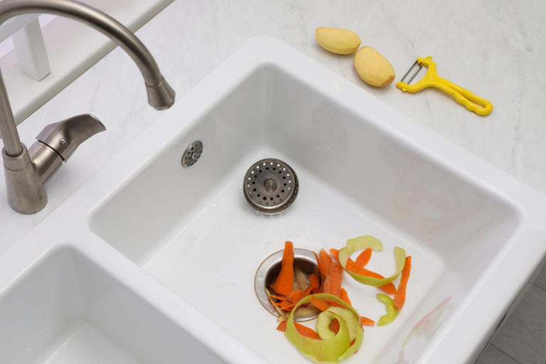 14 things experts warn you should never put down a garbage disposal
