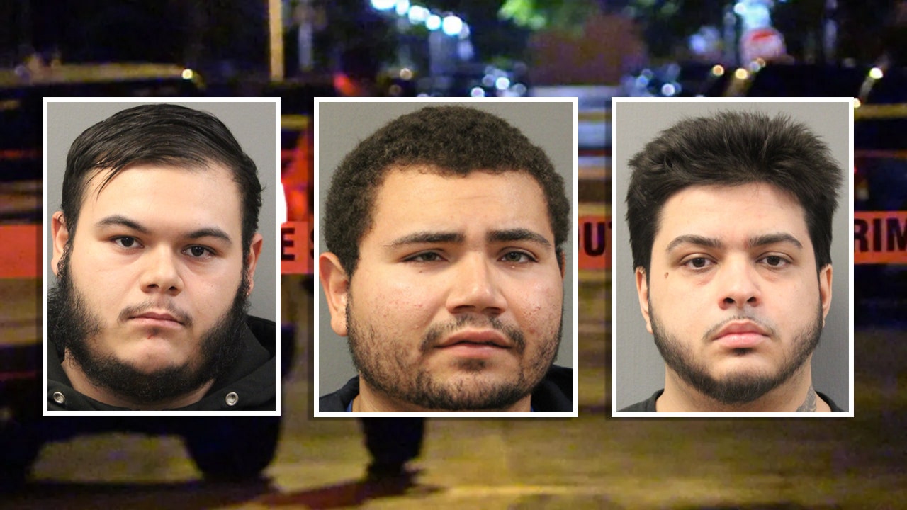 3 Chicago men charged in murder of woman in Logan Square
