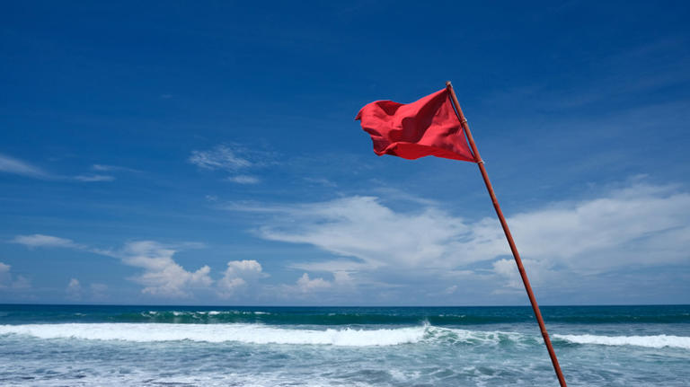 Avoid This Quaint Florida Beach Near New Smyrna That Has Murky Waters ...