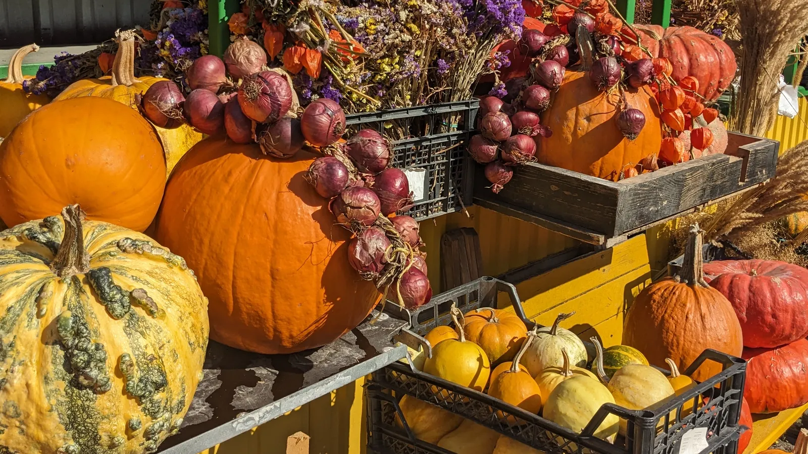 Best Fall food festivals worth traveling for