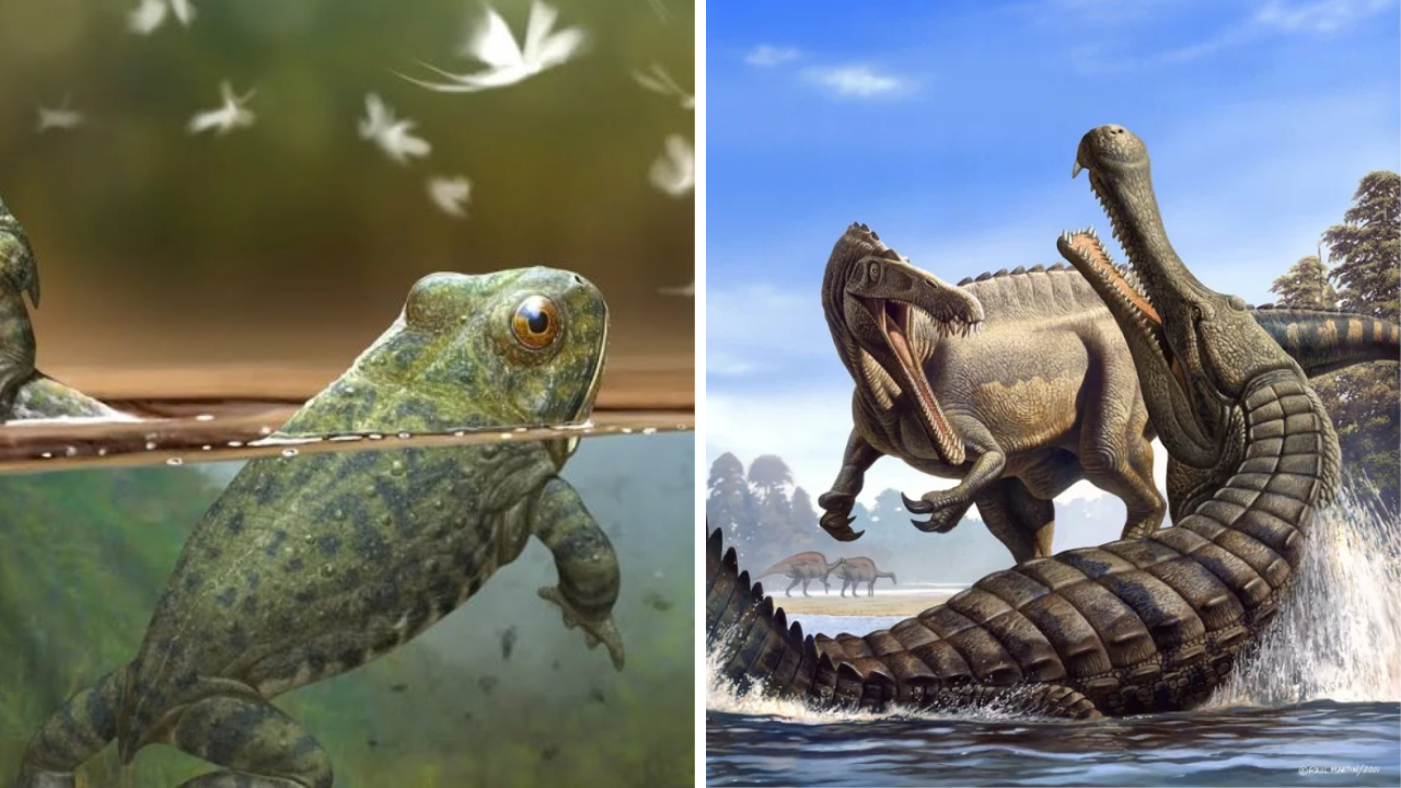 15 Modern animals and their prehistoric ancestors