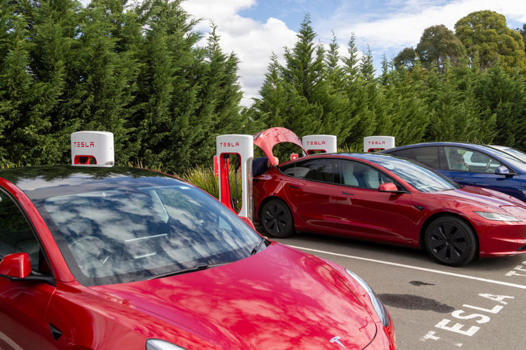 Tesla recalls almost 13,000 Model Ys and Model 3s over risk of sudden ...