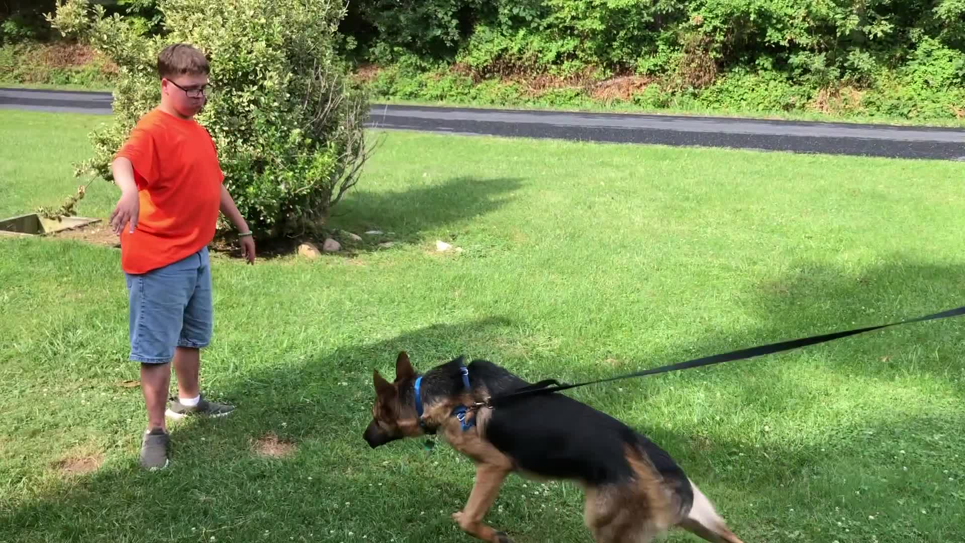 Boy Reunited With Service Dog After Camp