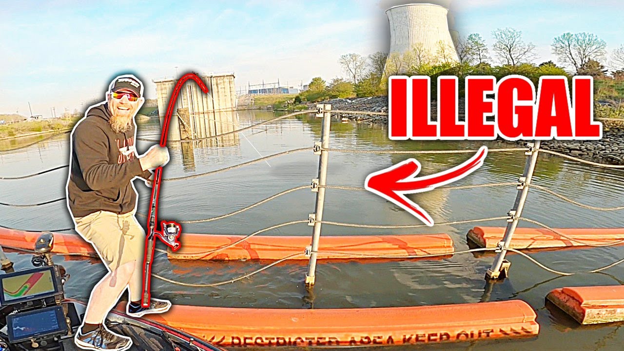 Catching massive personal best fish that may be illegal