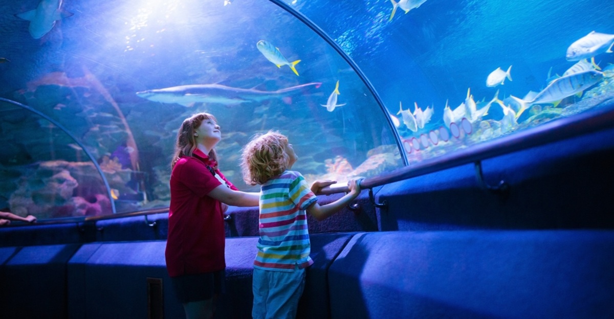 14 Zoos and Aquariums Around the U.S. That Young Kids Will Love