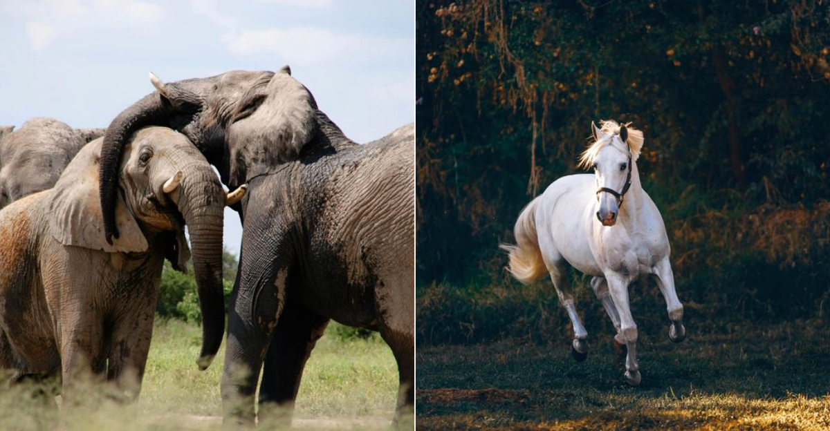 8 Wild Animals That Are More Emotional Than We Realized