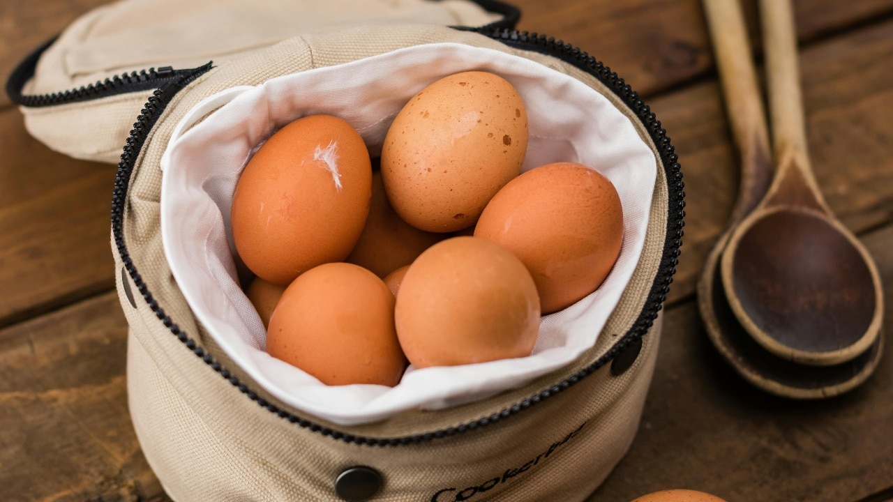 India's farm egg problem: Rotten, smelly, discoloured - what's ailing them?