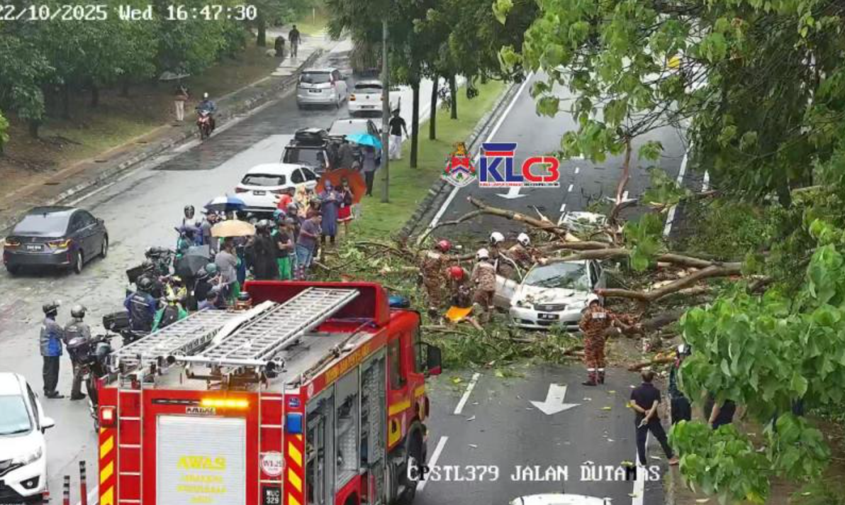 Fallen trees kill man, injure woman in separate incidents in Kuala Lumpur