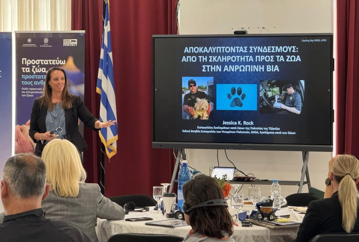 Τα αδέσποτα ως εύκολη λεία για κακοποιητές και δείκτης αύξησης της ...
