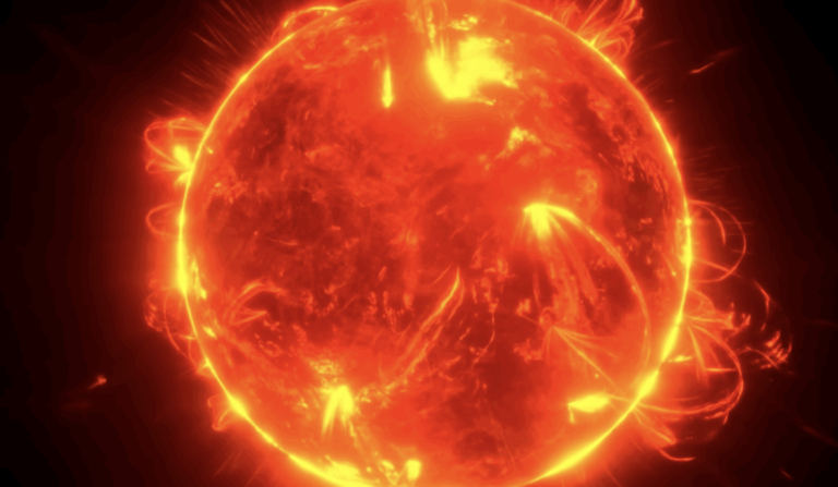 The Entire Evolution of our Sun