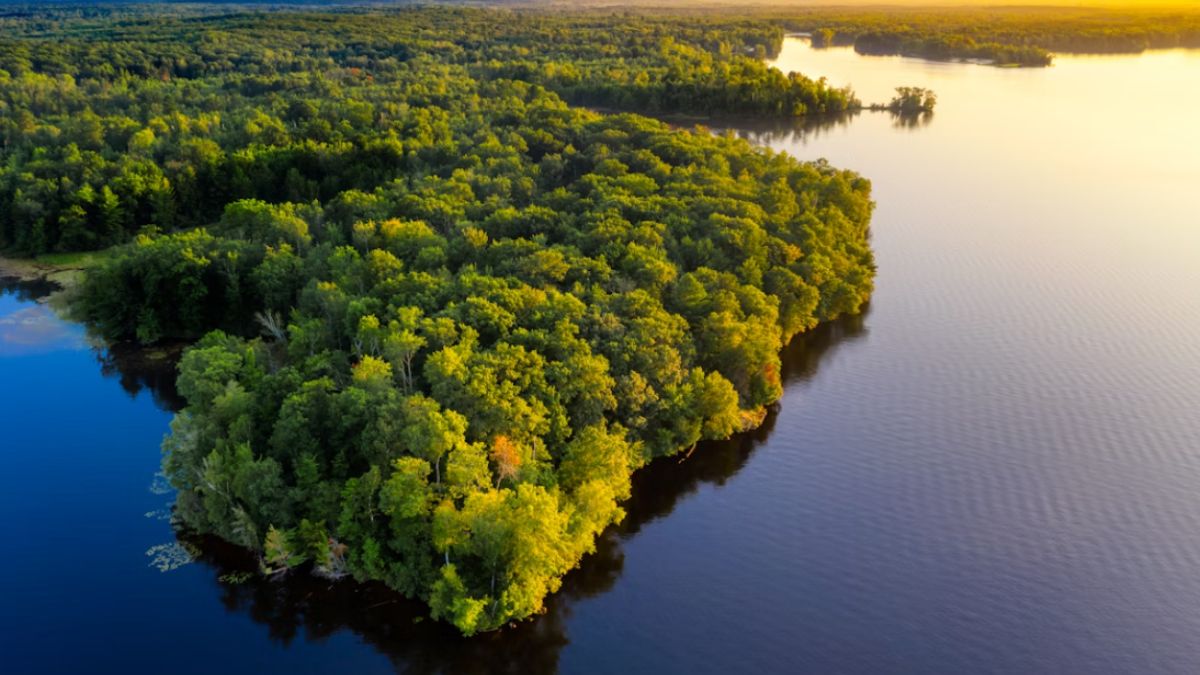 Rio Amazonas salgado: o curioso fenômeno ambiental que transforma o ...