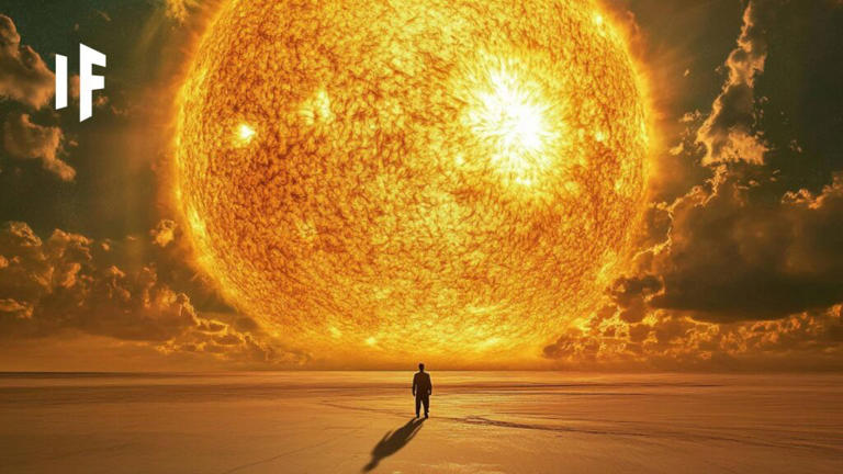 The Entire Evolution of our Sun