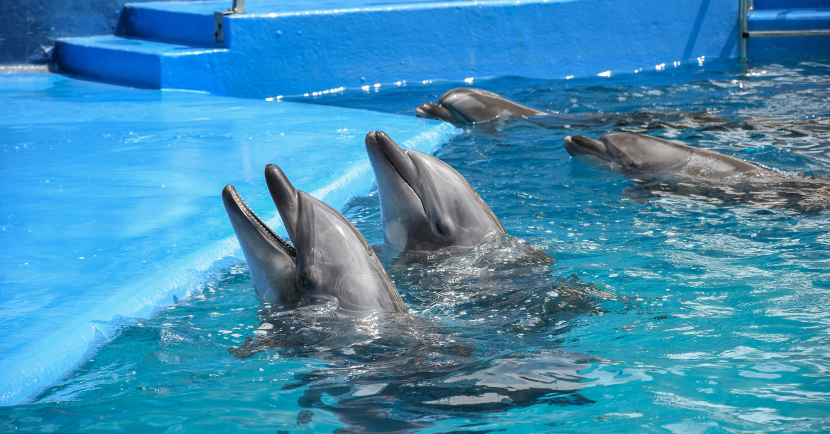 Ready for a Change? 15 Dream Jobs You Can Start Later in Life